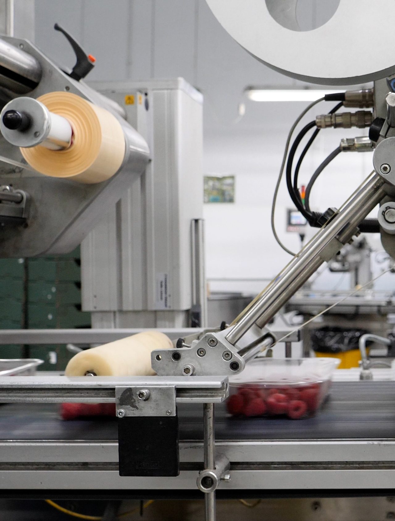 Labelling - Magnavale - Cold Storage for the Food Sector